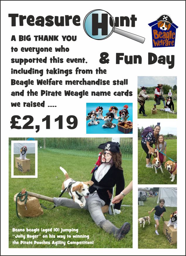 Beagle Welfare Treasure Hunt & Fun Day | Long Wittenham, Oxfordshire