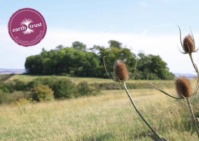 Love It, Look After It | Long Wittenham, Oxfordshire