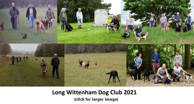 Dog Club | Long Wittenham, Oxfordshire